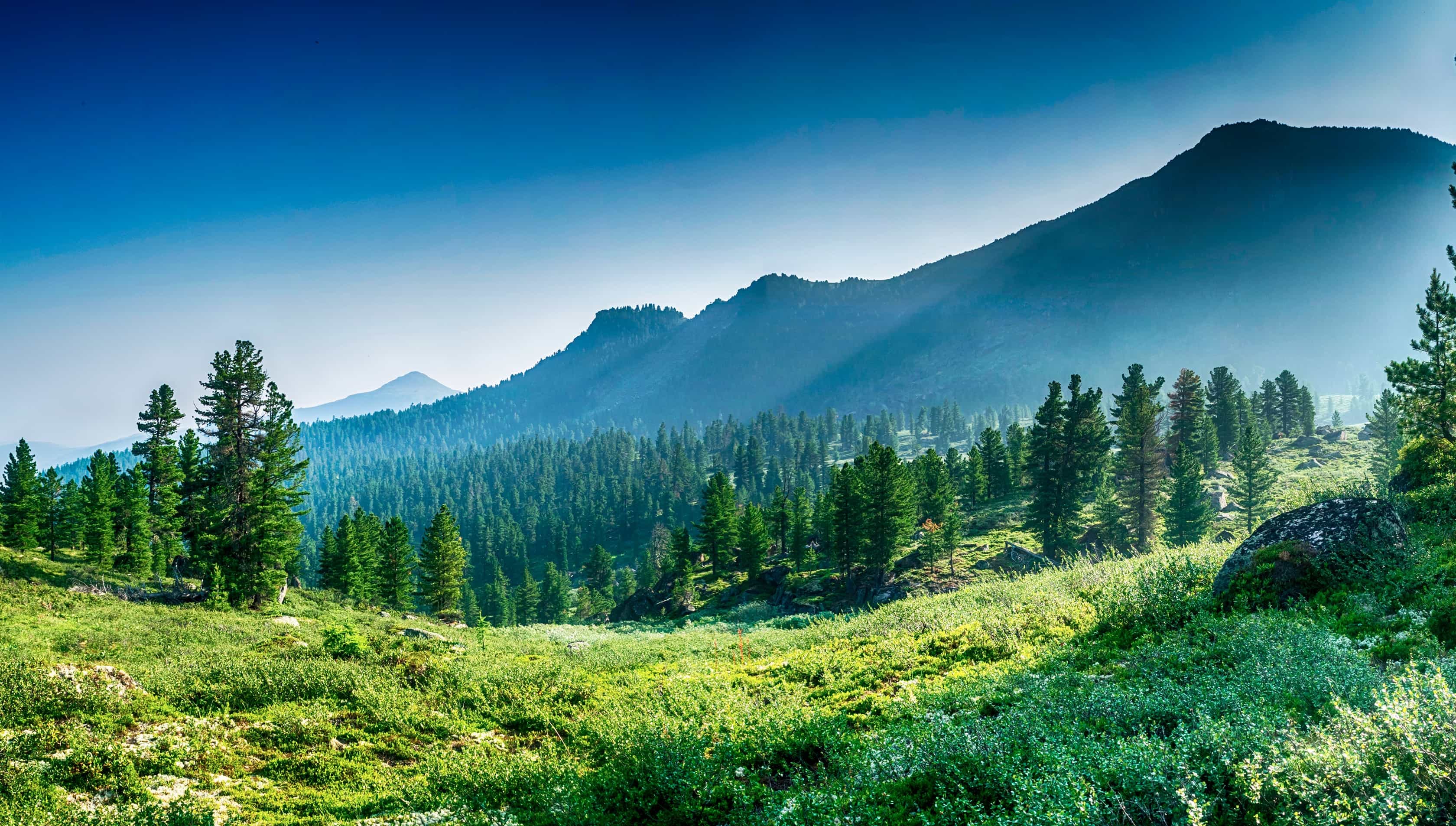 Главная страница